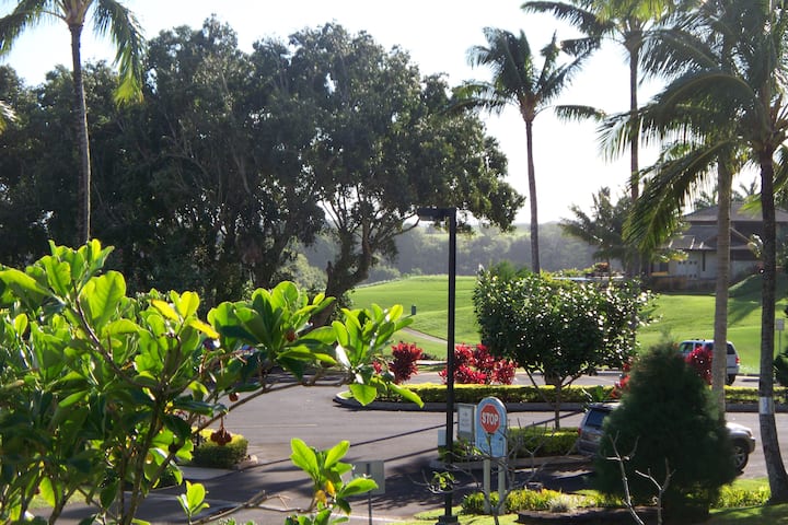 Beautiful Princeville Townhouse, Beach Toys, Bbq. - Ka Loko Reservoir, HI