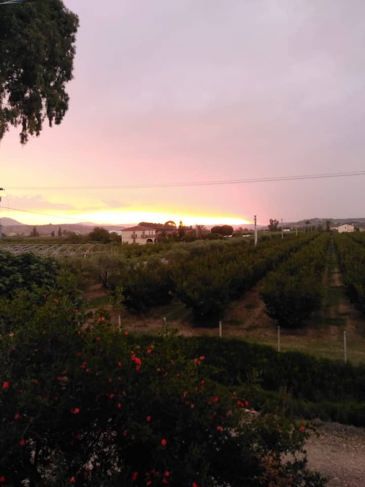 Appartamento  In Campagna A 3 Km Dal Mare E Paese - Policoro