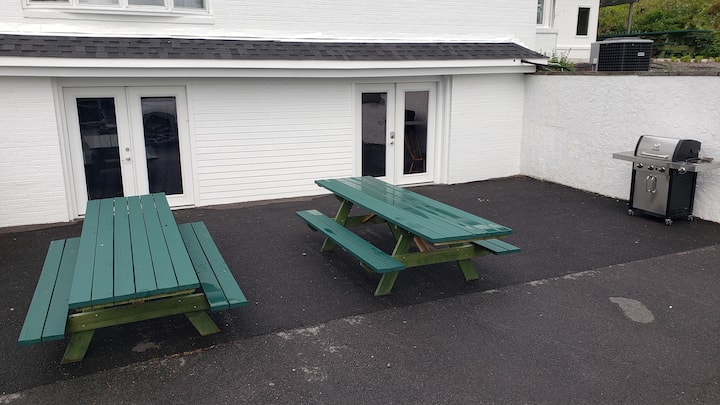 Birchwood Dugout - Oneonta, NY