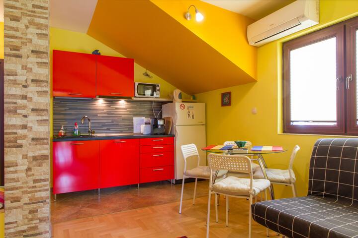 House with garden in Sofia's center - Apartments for Rent in Sofia ...