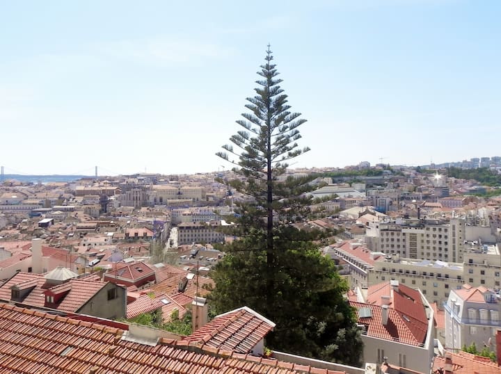 Top Of The Castle Hill - Lisbon