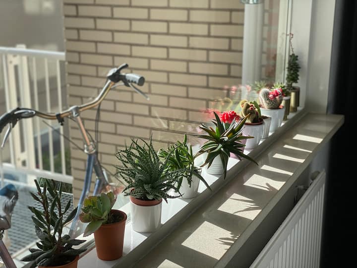 Cosy & Quiet Apartment In The Heart Of Rotterdam - Rotterdam