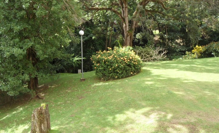 T2 Calme, Résidence Avec Piscine - Fort-de-France
