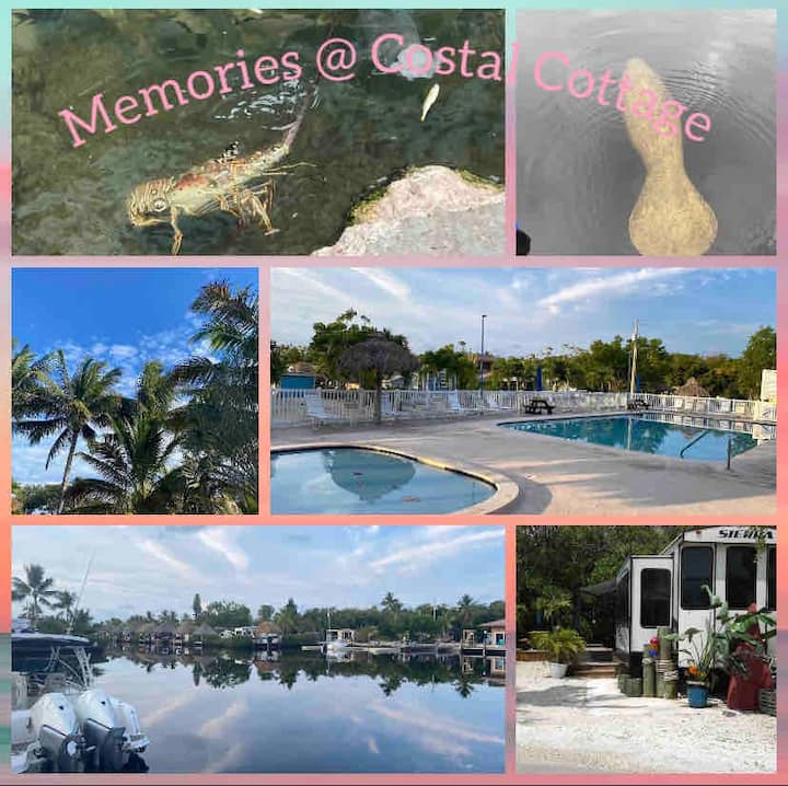 Welcome To The Islands- Pool-marina-kayak - Key Largo