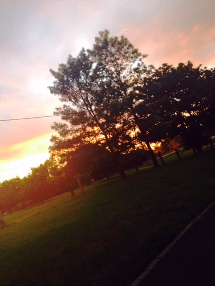 No Longer Available - Toowoomba