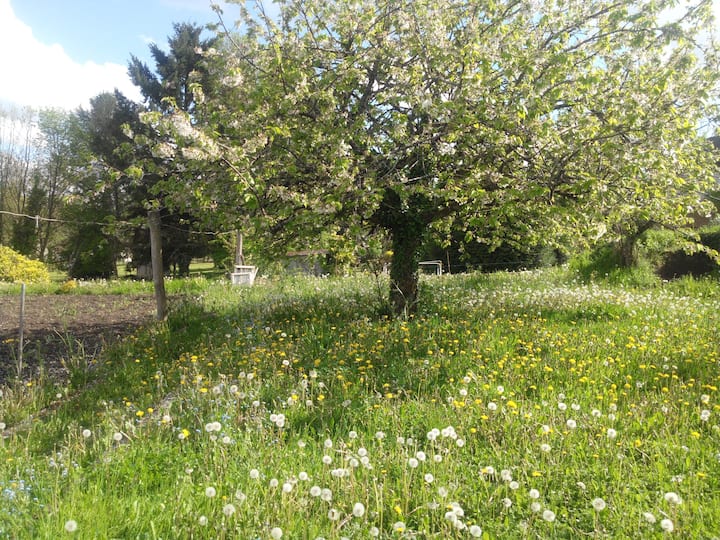 Ancienne Ferme De Bourg Fleurie Avec Grand Jardin - Saint-Yrieix-la-Perche
