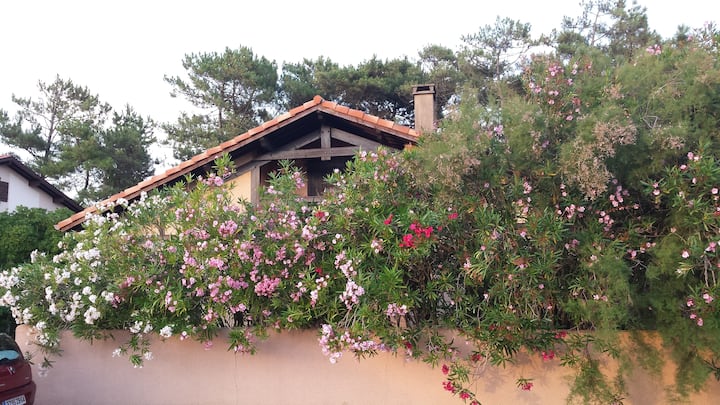 Villa Landaise - Plage à 200 M - Capbreton, Landes - Seignosse