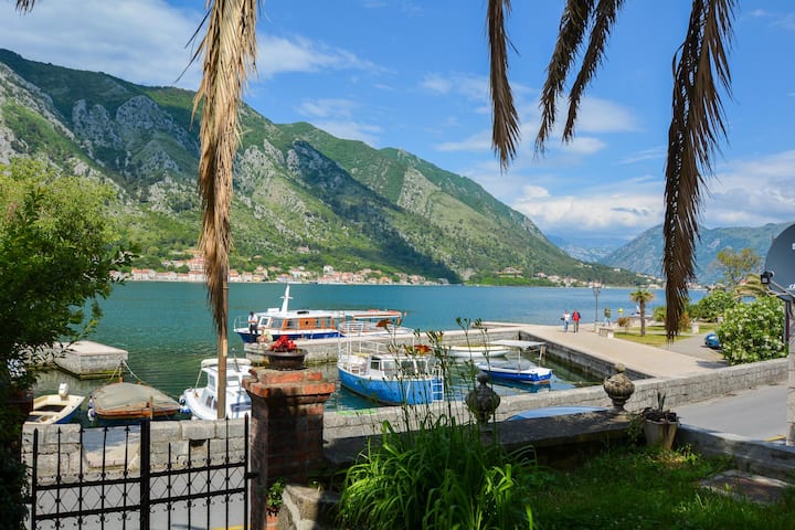 Garden Seafront Studio In Kotor - Kotor