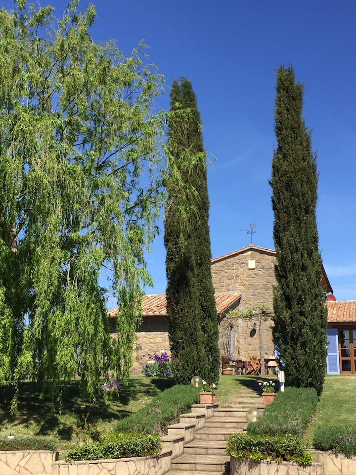 Stretta Carraia - Pitigliano