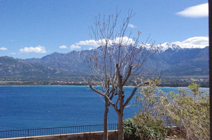 Maison De Village Sur La Citadelle De Calvi - Calvi