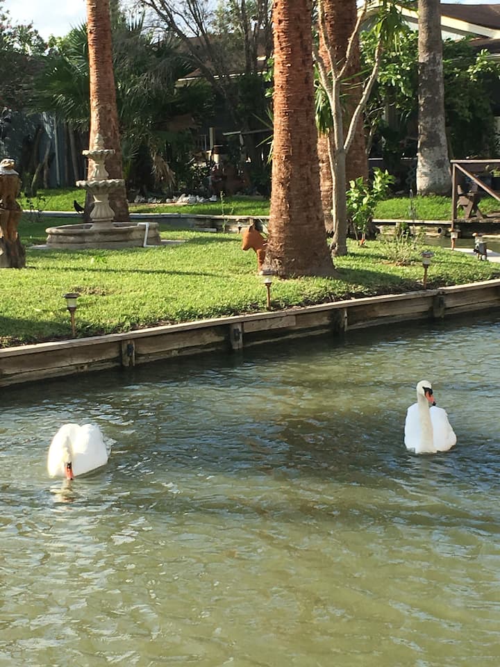 5 ⭐️ Star Resort For Seniors 55+ Safe And Secure - Brownsville, TX