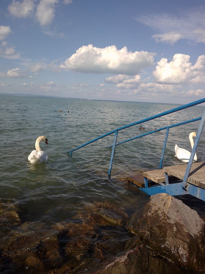 Siófok Aranyparton 3+3+2 Apartman - Siófok