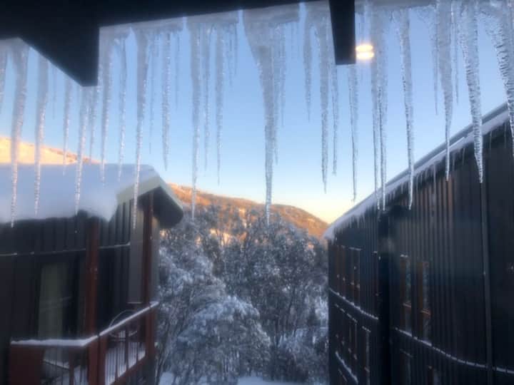Spacious 1br Apartment In The Snow - Falls Creek