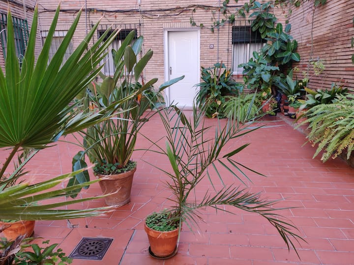 Centro Histórico - Patio En Santa Cruz - Tranquilo - Seville