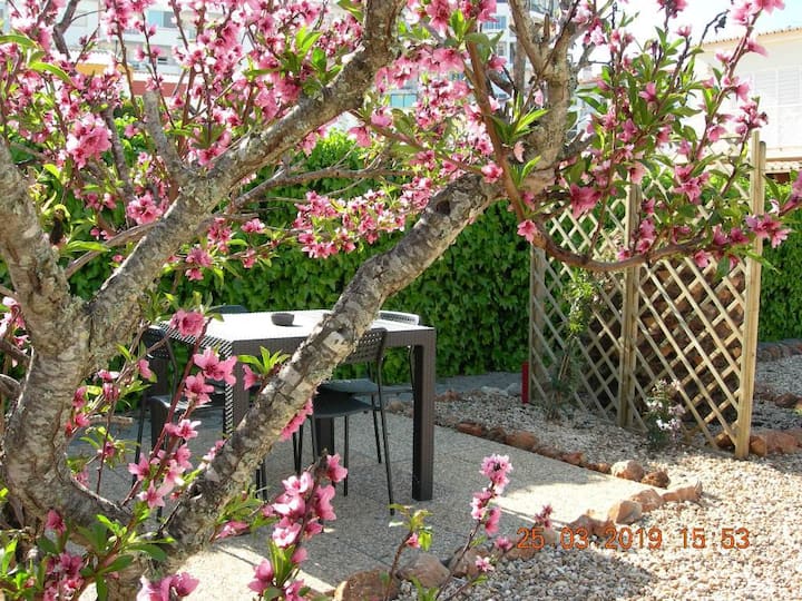 The Captain's Cabin At Casa Estibordo - Lagos - Lagos