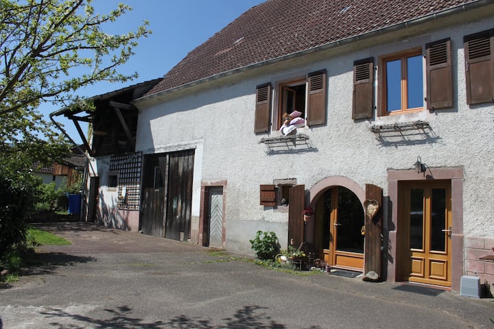 Chambre D'amis - Munster