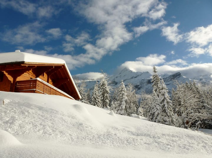 Entire Chalet With Spectacular View - 10 Pers - Les Diablerets