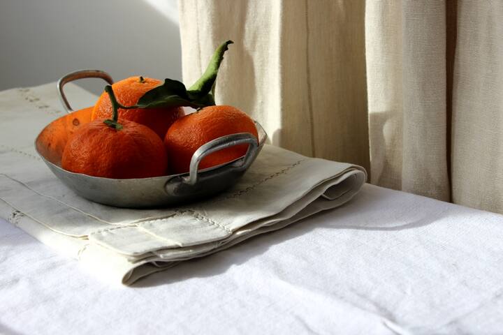 Bed & Breakfast ' Le Petit Chien' - Navarrenx