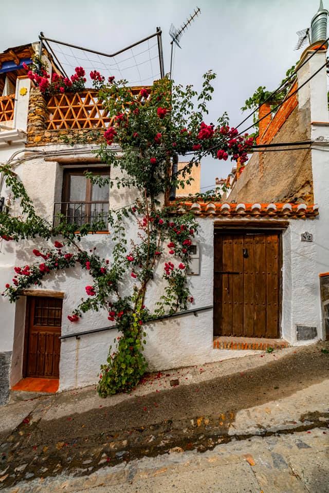 Casa Fuensanta, a rustic house for 6 people. - Cottages for Rent in ...