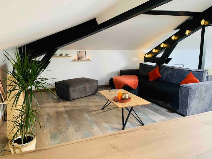 L’écrin Valence. Appartement Type Loft. - Valence