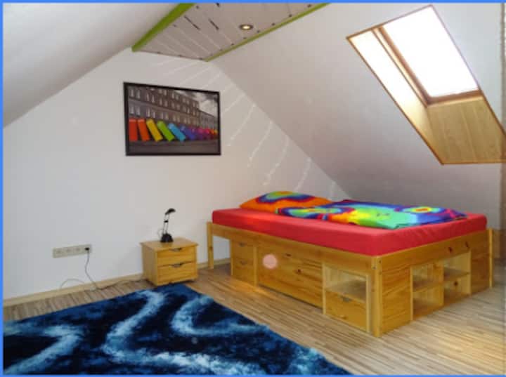(1) Cosy Room, Quiet, English Speaking Host - Aschaffenburg