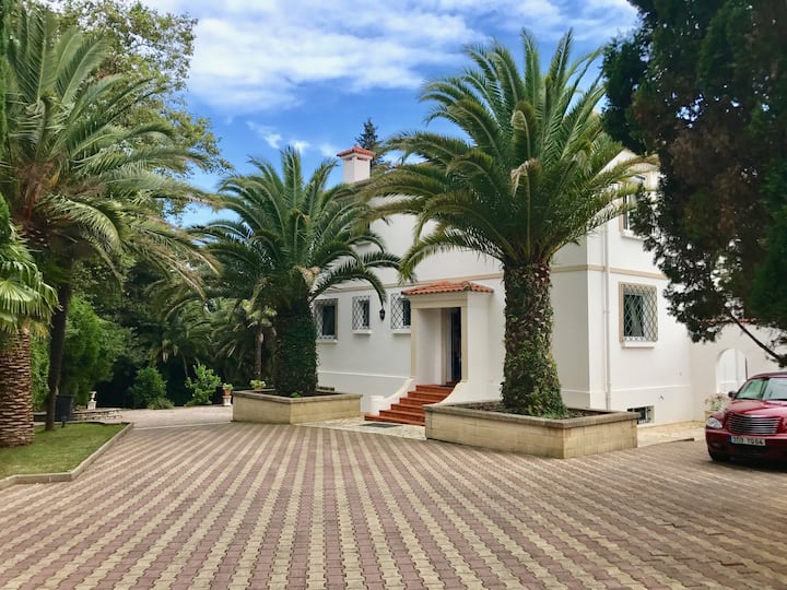 Belle Demeure Dans Un Parc Exotique Et Sa Piscine - Anglet