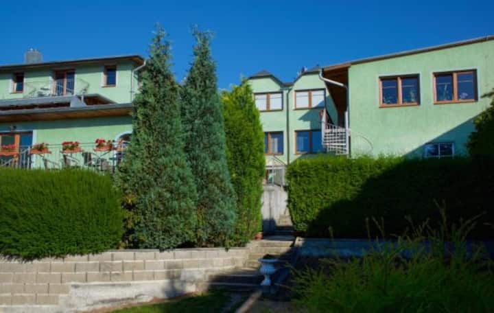 Pension Lukas Double Room With A Shower č.1 - Karlovy Vary