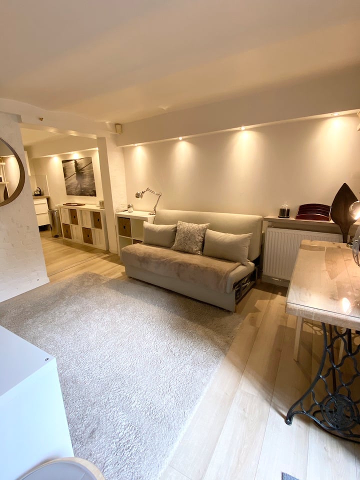 Grand Atelier Sur Jardin - Maisons-Alfort
