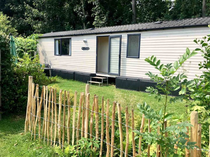 Chalet In Het Bos Op Leuke Camping Met Zwembad - Den Haag