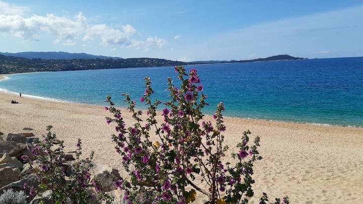 Location Duplex à 200m Da La  Plage - Korsika