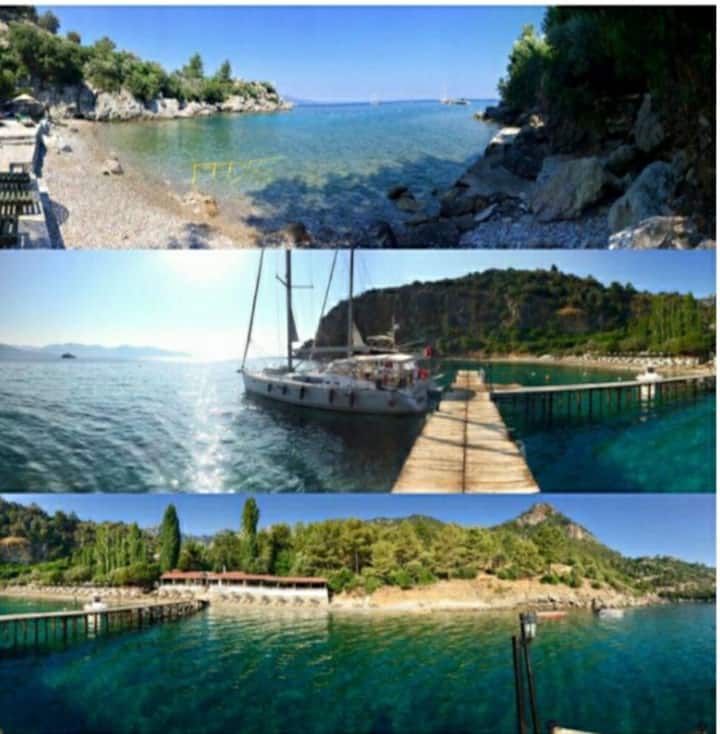 Amos Akvaryum Huzurlu Bahçe Katı - İçmeler