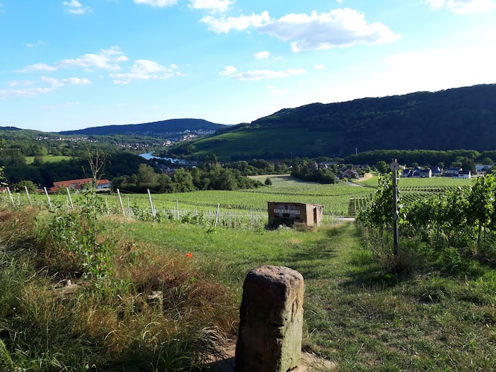 Fewo Moselsteig - Remich