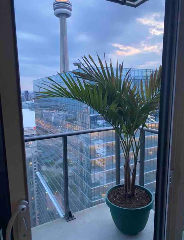 Beautiful 2 Br + 2 Ba With Beautiful Views - 多倫多