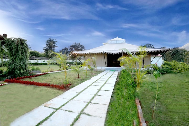 Lounge @ Affable Pavilion - Udaipur