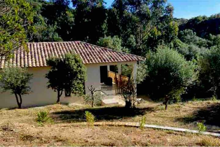 Location Villa - 4 Personnes Corse Du Sud Figari - Pianottoli-Caldarello