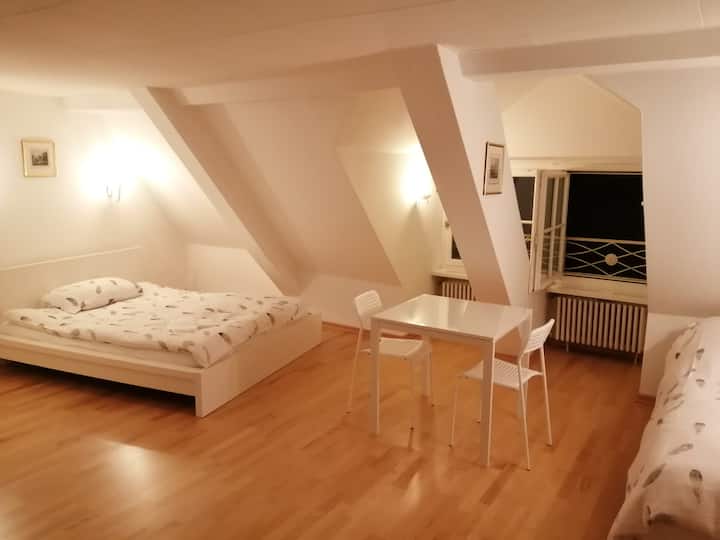 Studio D Am Barfüsserplatz Central Old Town - Basel