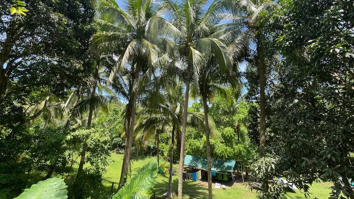 Nature And Goodvibes At Tahana Hiraya - Taal