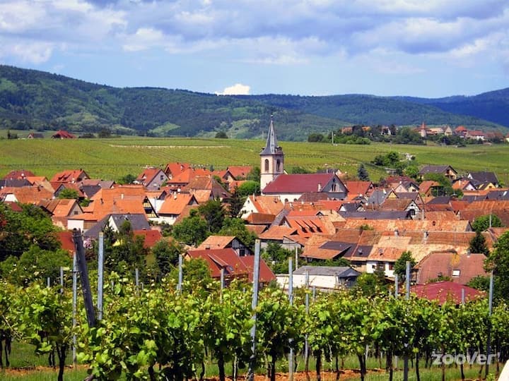 Gite Riesling - Riquewihr