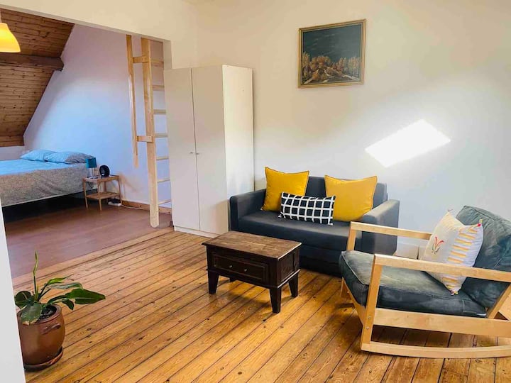 Cozy Studio Calme Et Proche Du Centre - Anderlecht