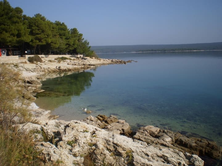 Apartment Brzovic Directly On Beach Ground Floor - Neresine