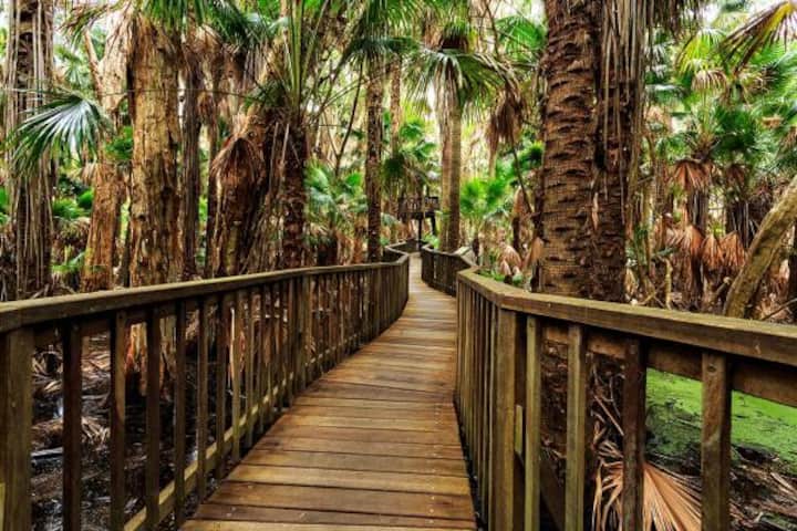 Couran Cove 3r's Eco-cabin - North Stradbroke Island