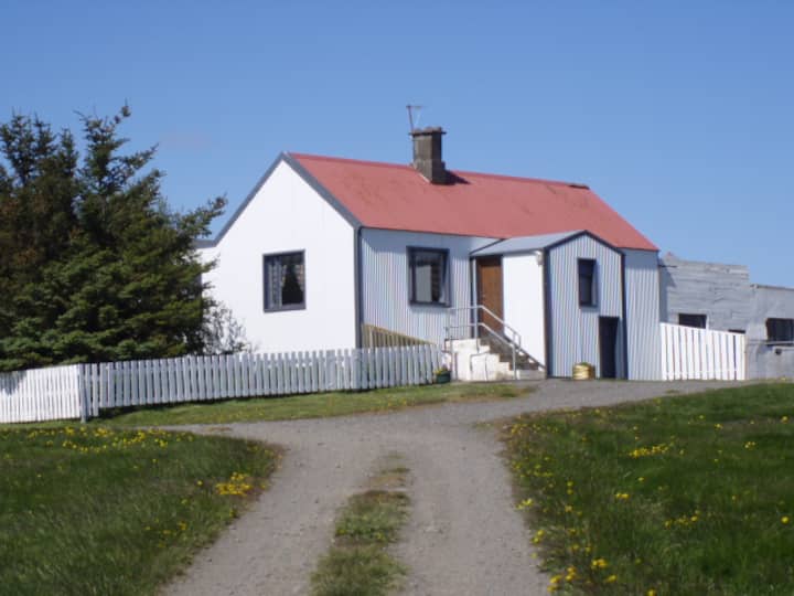 Guesthouse On A Farm With Horses - Groenland