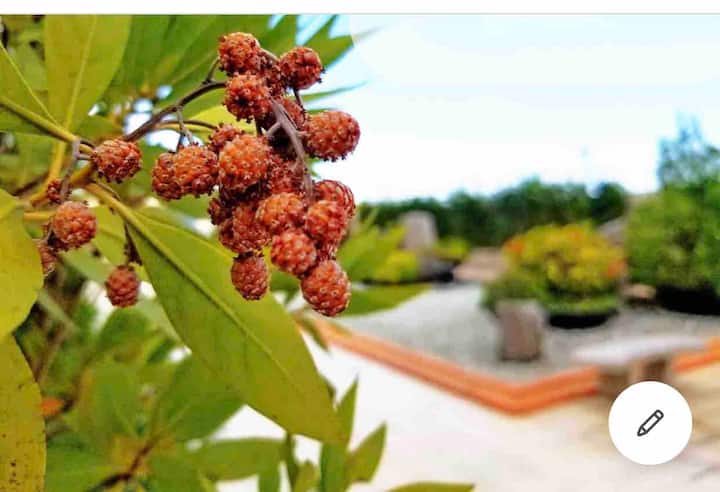 Spacious Clean Condo With View - Quezon City