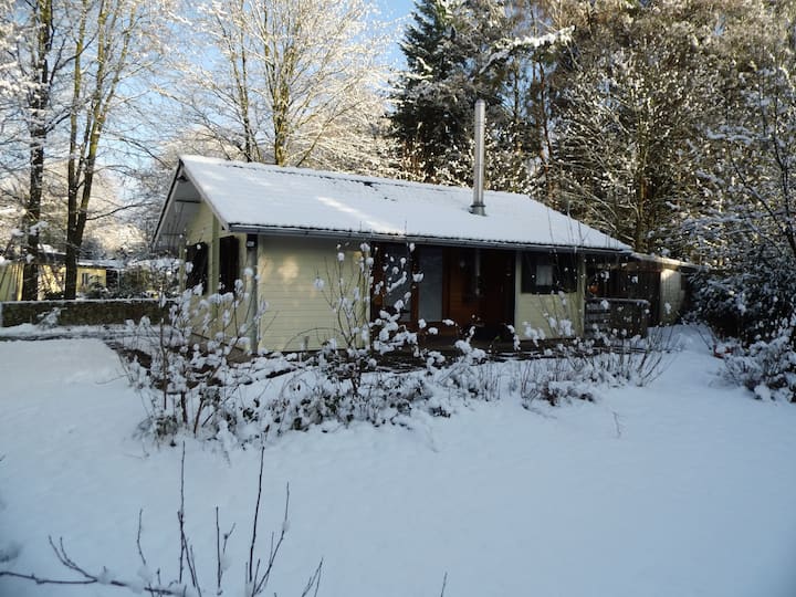 Holzschuhers Gästehaus - Bassum