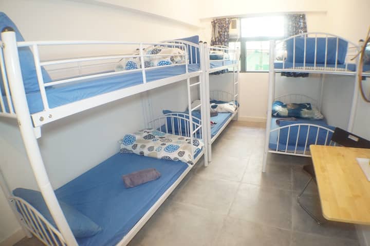 Downtown Sleeps 6 Studio Apt Pec Mtr Downstairs! - Central