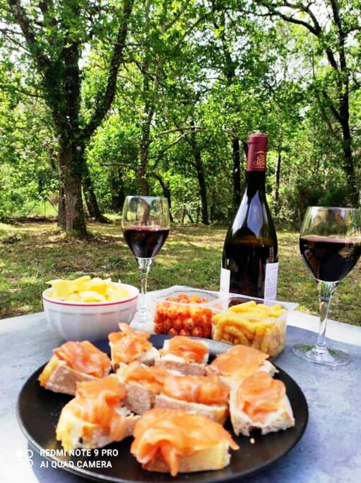 T2 De 40m2 En Pleine Forêt à 1,7km De La Plage - Soulac-sur-Mer