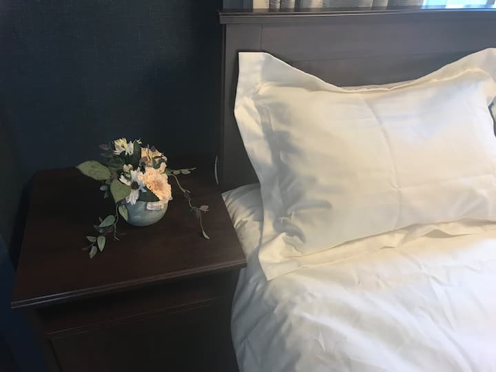 (301)3 Mins To Station, Near By Ueno And Asakusa - Ueno