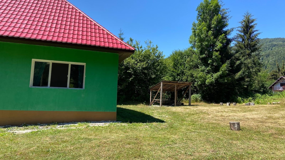Casa Verde - Munții Apuseni - Cabane de închiriat în Pietroasa, Bihor ...