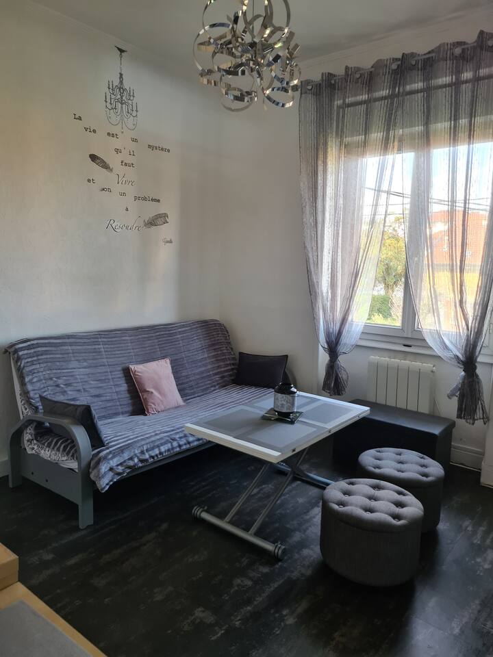 Logement Lumineux Et Chaleureux - Chassieu