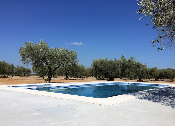 Villa 4 Ch Avec Piscine Privée Et Salons D'été - La Sénia